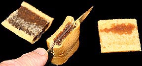 For The Love Of Fig Newtons